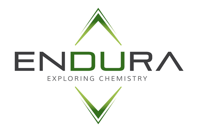 Avvale | Case Study | Endura