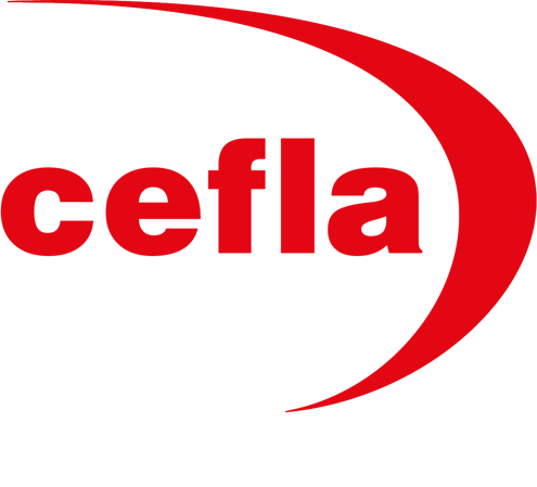 Avvale | Case Study | CEFLA's HCM Digital Transformation