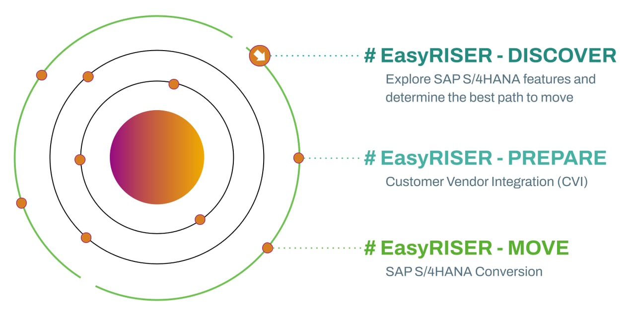 EasyRISER – Avvale Packaged Solution