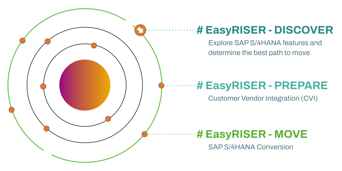 EasyRISER – Avvale Packaged Solution