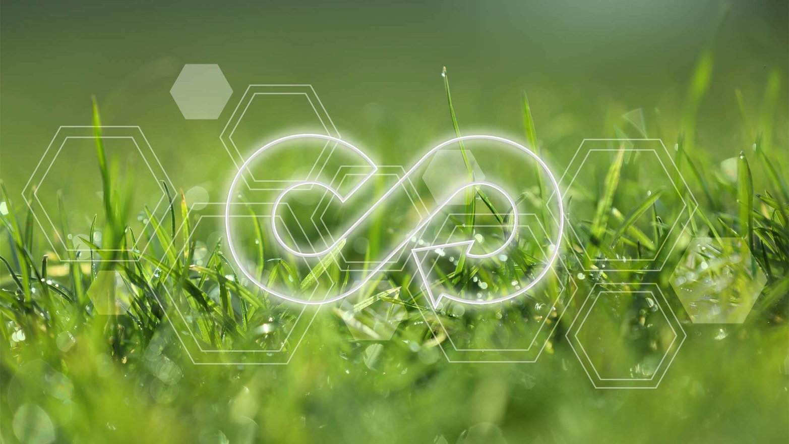 Circular Economy in the Manufacturing Sector