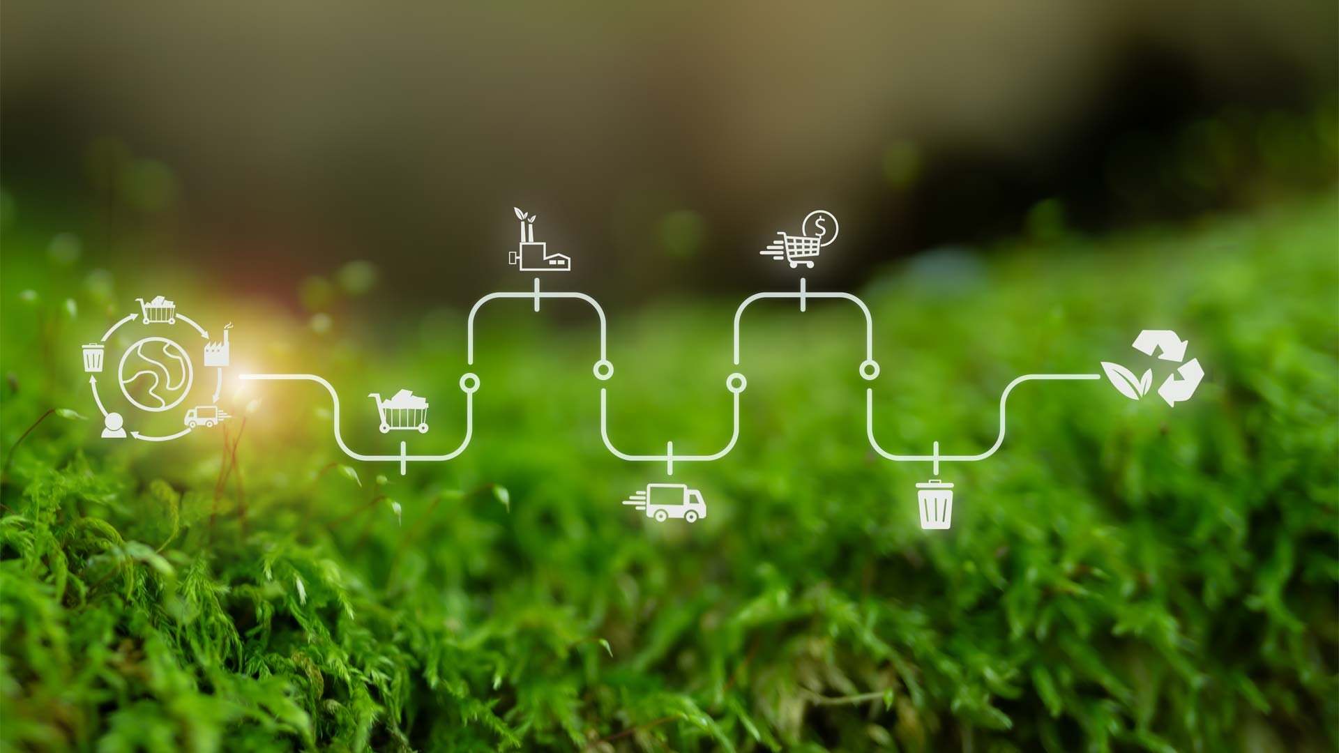 Product Life Cycle Extension: The Role of Technology and Data