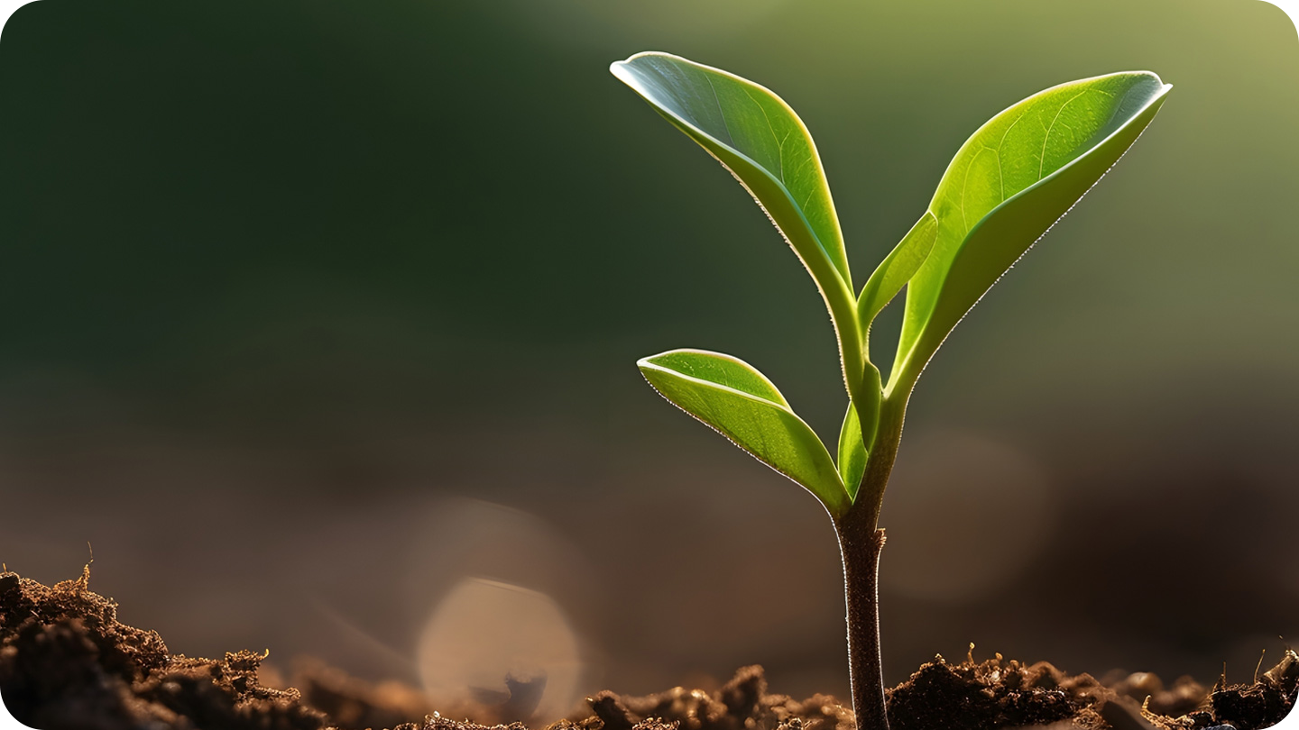 Avvale | Life at Avvale