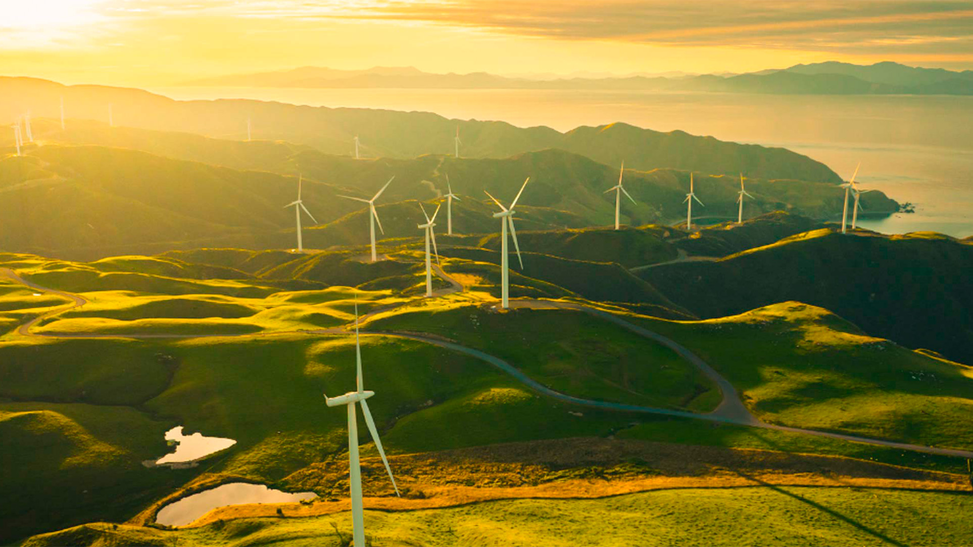 Avvale | Partners | SAP