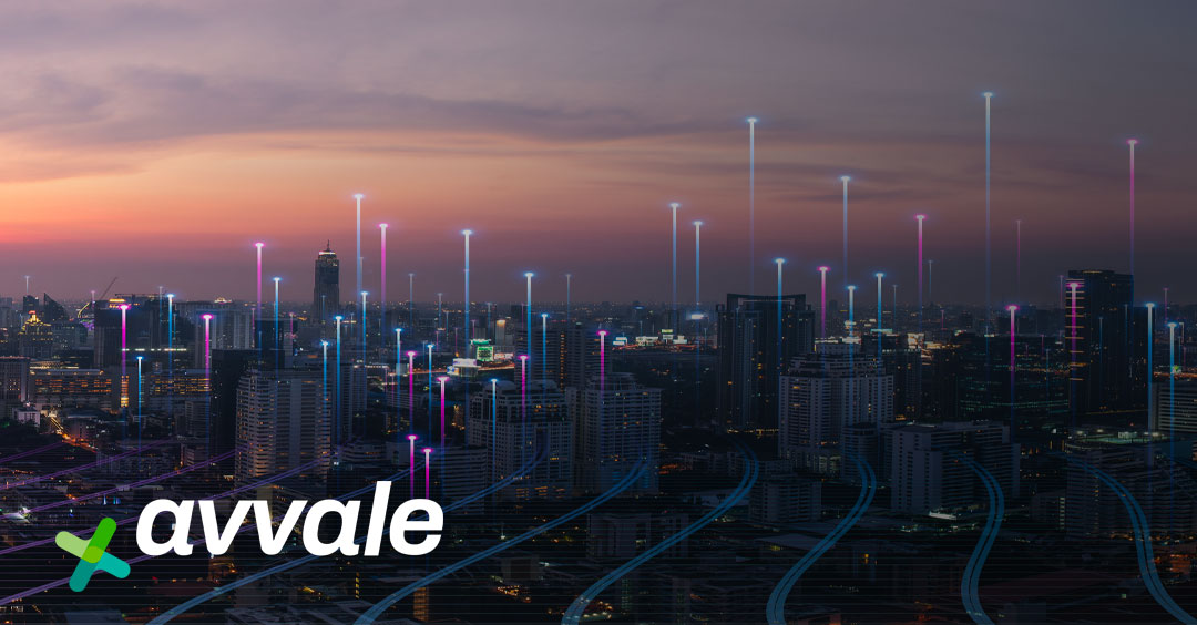 Avvale | Industries | Public Administration
