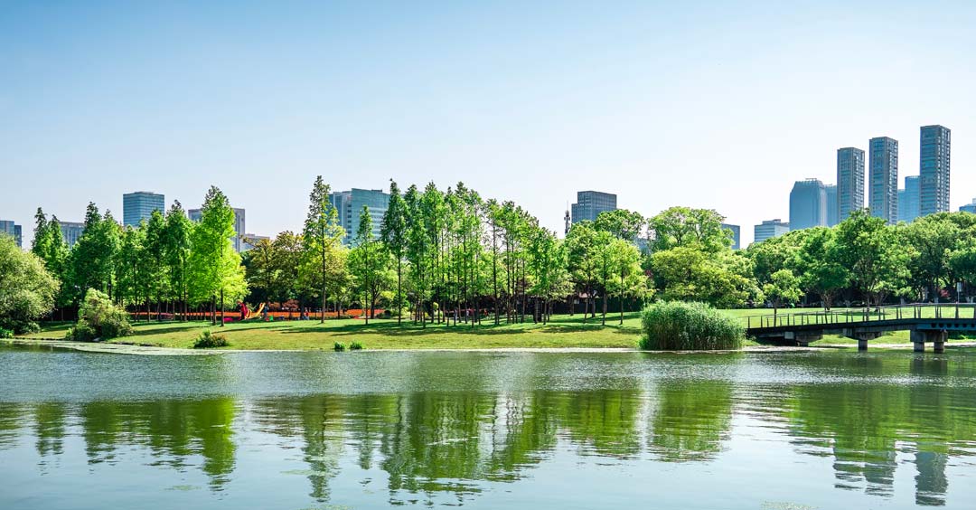 EasyRISER – Avvale Packaged Solution