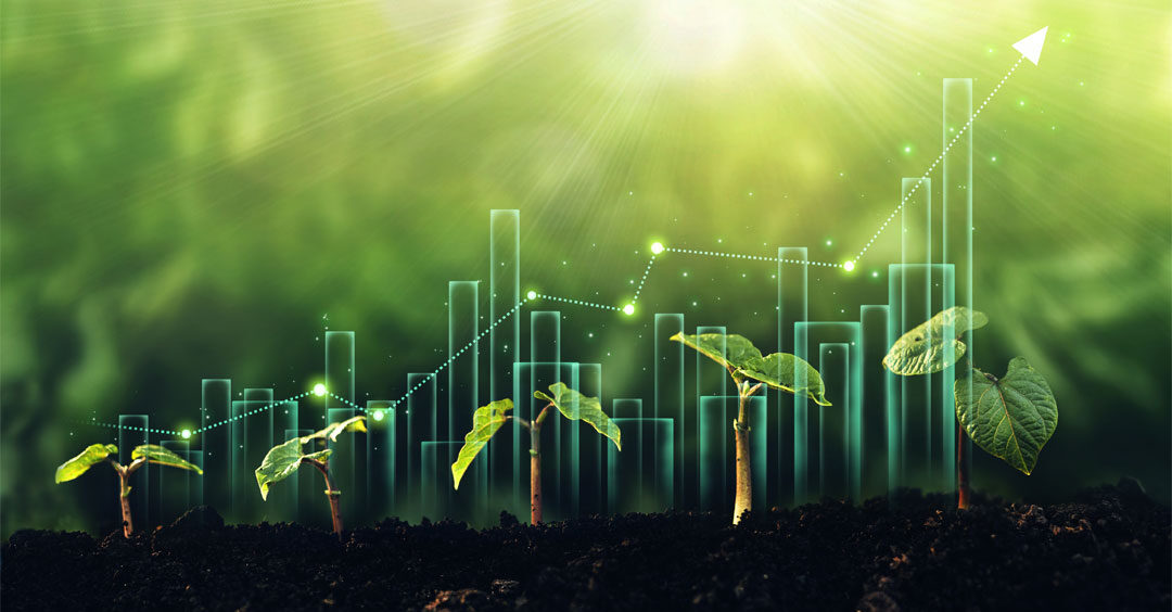 Circular Economy and Digital Transformation