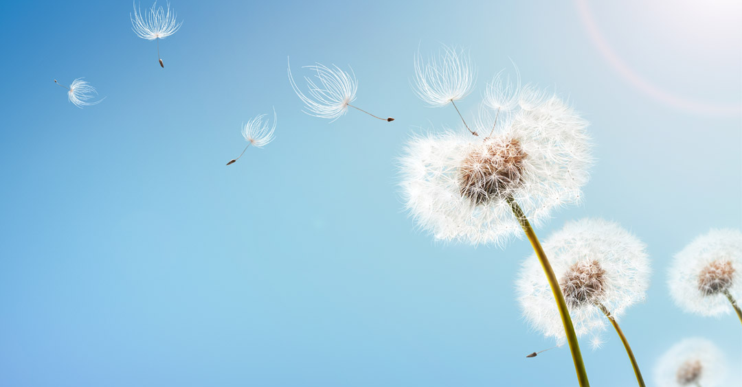 Avvale | Case Study | Albia’s Sustainable Digital Catalog