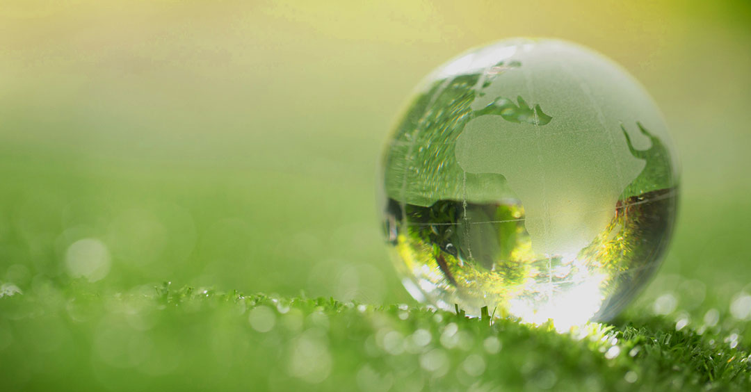 Structuring an ESG Program: Strategies for Companies and Investors