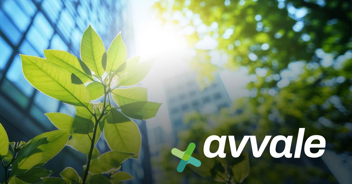 Avvale | Services | ESG & Sustainability Reporting