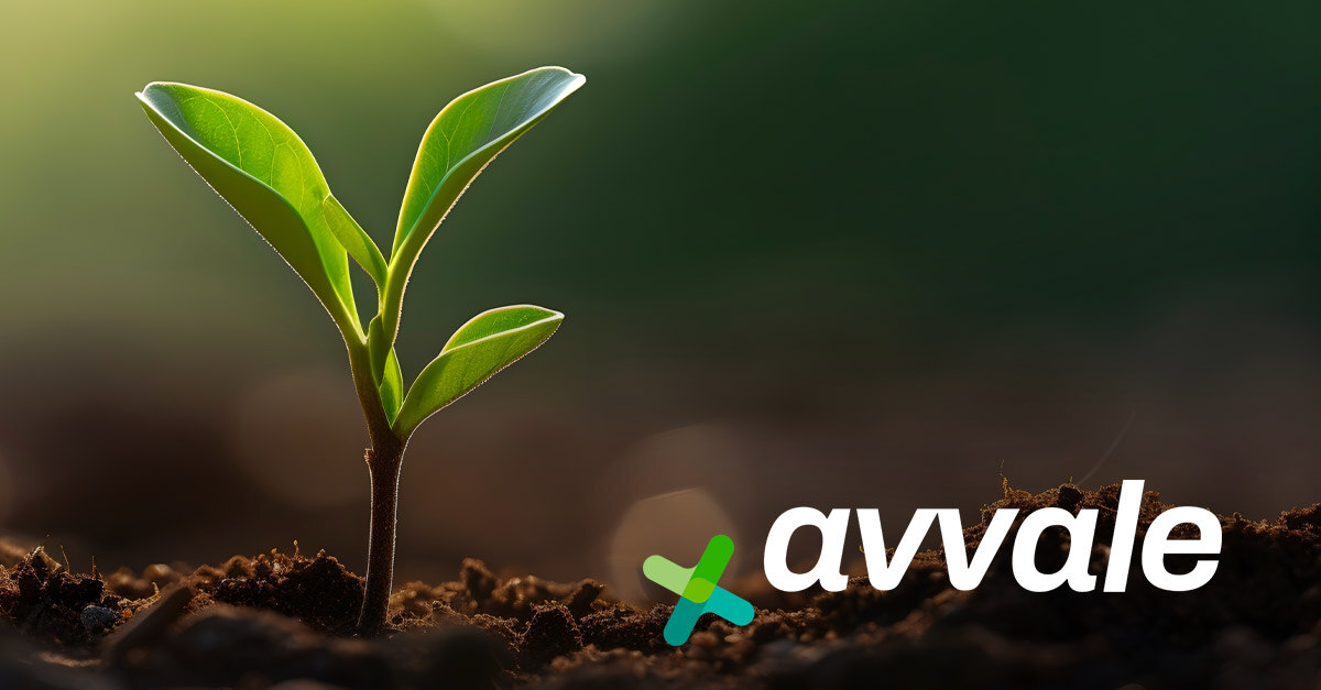 Avvale | Open Positions