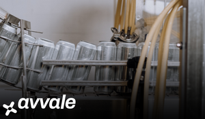 Avvale | Industrias | Manufactura